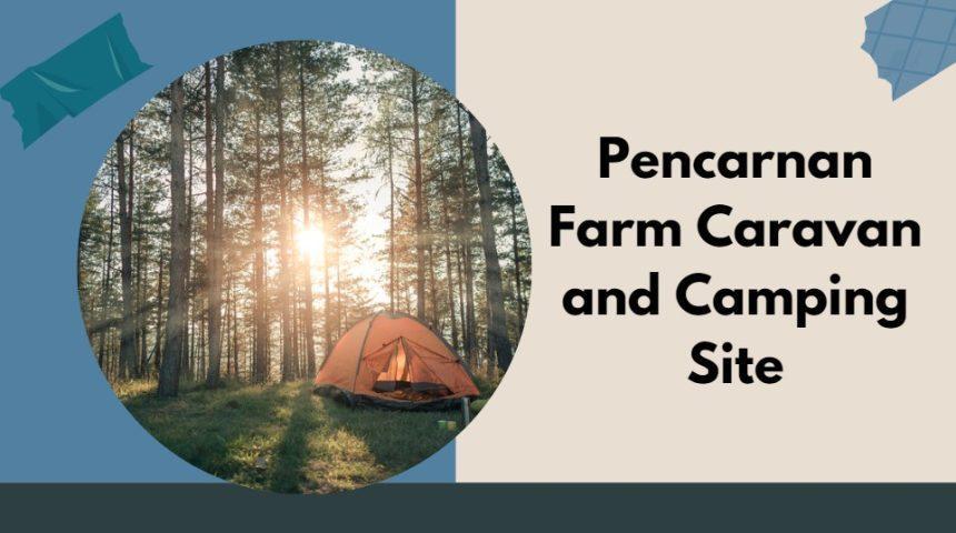 The Best 16 Campsites in South West Wales – South West Mag