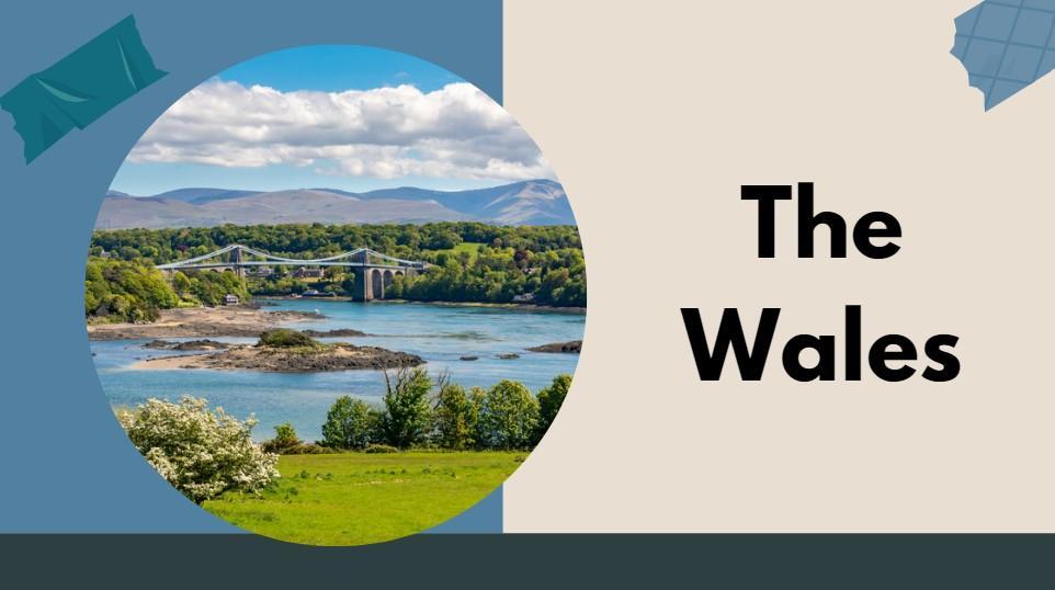The Best 16 Campsites in South West Wales – South West Mag