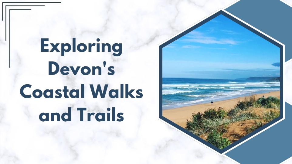 The Best Things to Do in Devon - Tourist Attractions– South West Mag