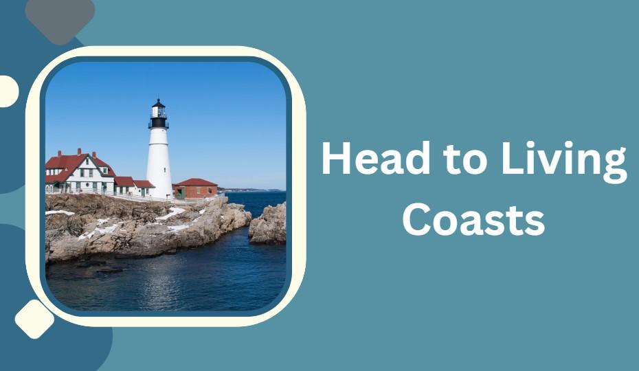 15 Things to Do in Torquay - Get Ready to Explore – South West Mag