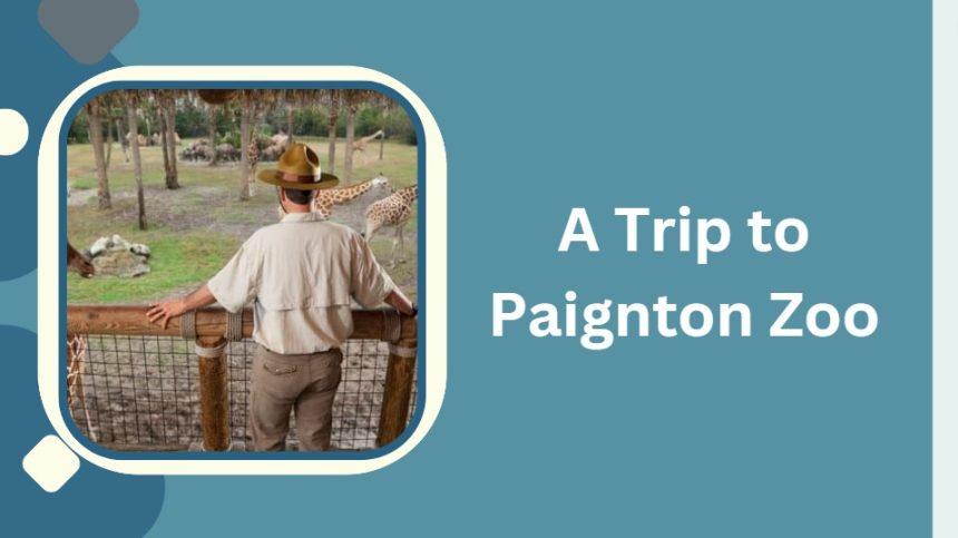 15 Things to Do in Torquay - Get Ready to Explore – South West Mag