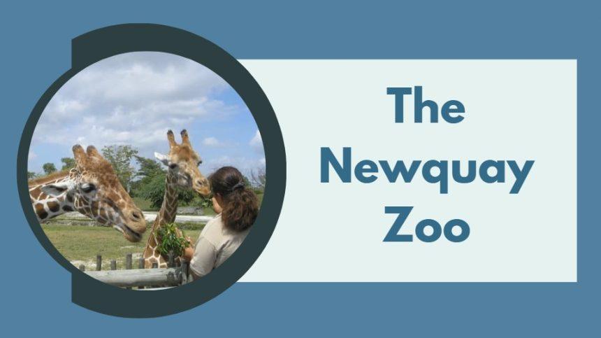 Things to Do in Newquay - Discover the Hidden Gems – South West Mag