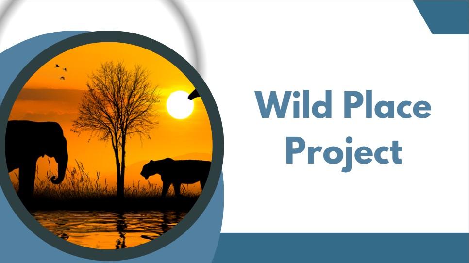 Top 9 Best Glamping in South West England– South West Mag