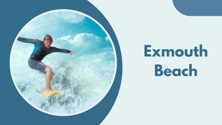 Top 16 Best Surfing Beaches in Devon – South West Mag