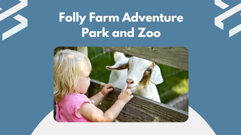 Top 12 Zoos in South West England – South West Mag