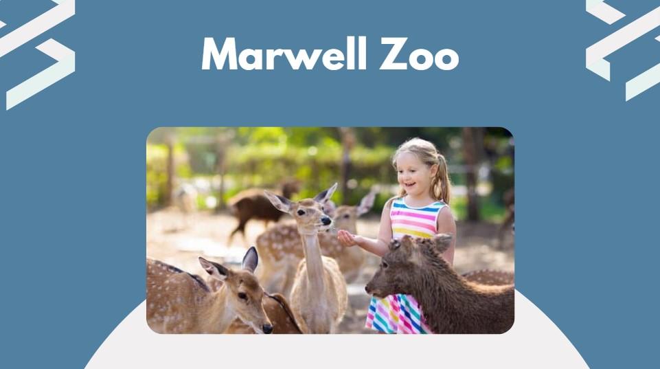 Top 12 Zoos in South West England – South West Mag