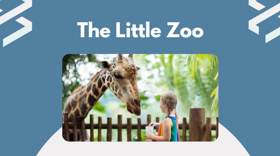 Top 12 Zoos in South West England – South West Mag