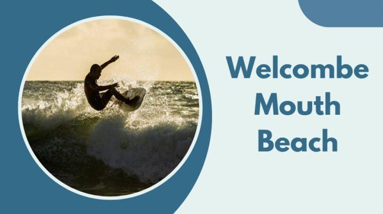 Top 16 Best Surfing Beaches in Devon – South West Mag