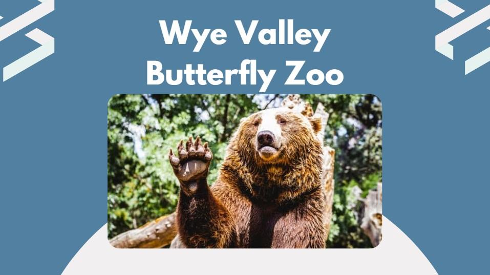 Top 12 Zoos in South West England – South West Mag
