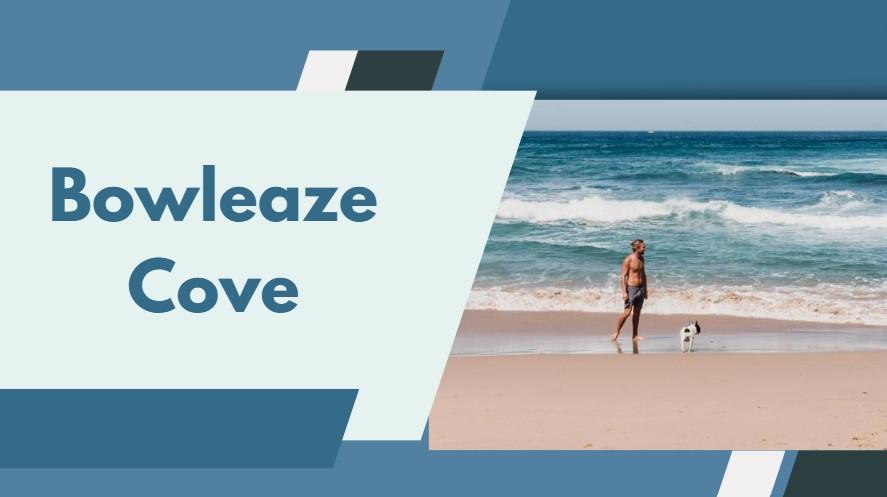 10 Best Dog Friendly Beaches in Weymouth– South West Mag