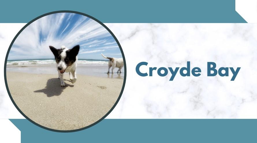 Top 15 Best Dog Friendly Beaches in Devon – South West Mag