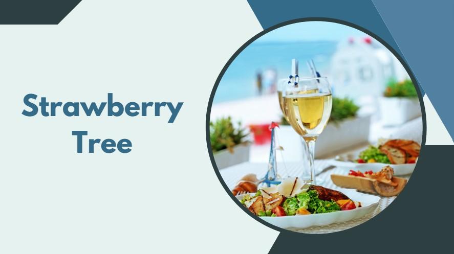 Top 10 Best Restaurant in Lyme Regis – South West Mag