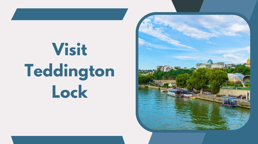 Top 10 Best Things to Do in Teddington – South West Mag
