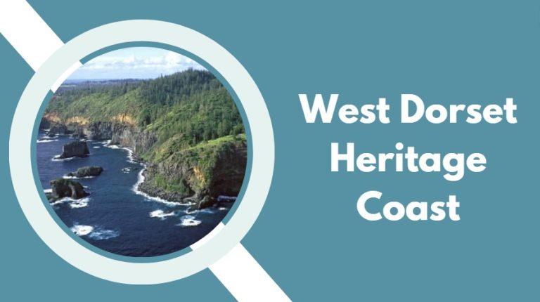 Top 11 Best Places to Visit in Dorset – South West Mag