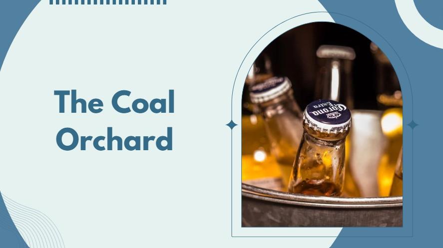 Best Pubs in Taunton - Top 14 (Maps Included)– South West Mag