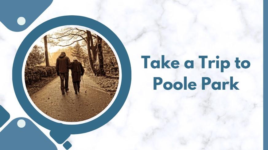 Best Things to Do in Poole - Top 9– South West Mag