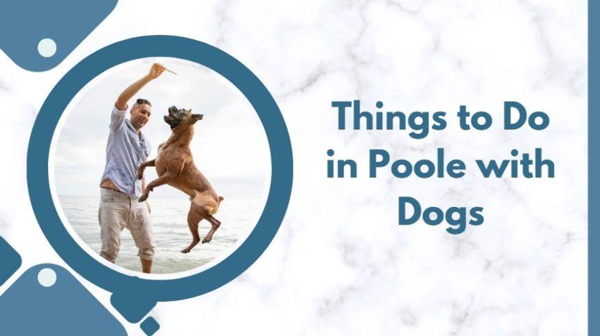 Best Things to Do in Poole - Top 9– South West Mag