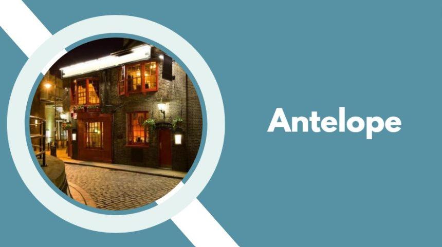 Best Pubs in Poole - Top 10 (Maps Included) – South West Mag