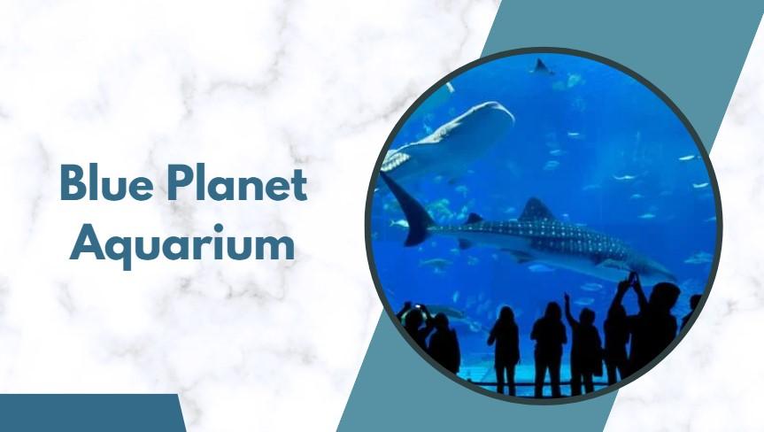 Best Things to Do in Chester - Local Favorites – South West Mag