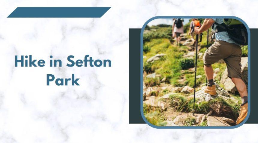 Best Things to Do in Liverpool - The Vibrant Beat– South West Mag