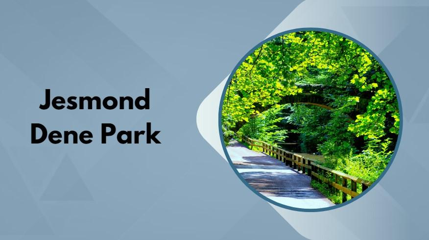 Top 5 Best Things to Do in Newcastle – South West Mag