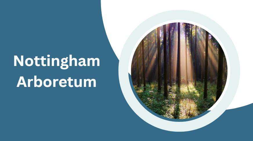 Best Things to Do in Nottingham - Sites to Visit– South West Mag