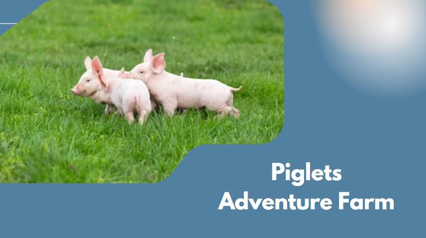 Best Things to Do in York - Fun-filled Adventures – South West Mag