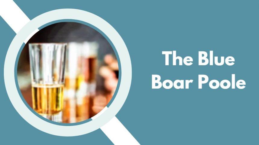 Best Pubs in Poole - Top 10 (Maps Included) – South West Mag