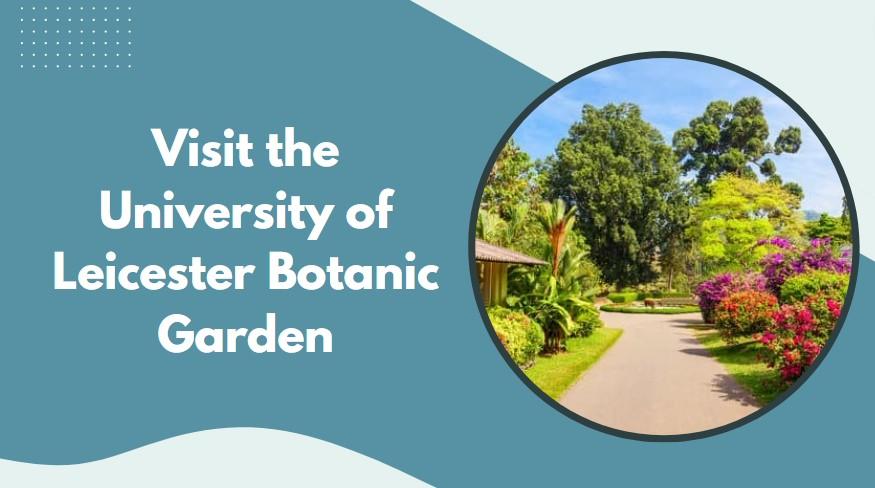 Best 15 Things to Do in Leicester – South West Mag