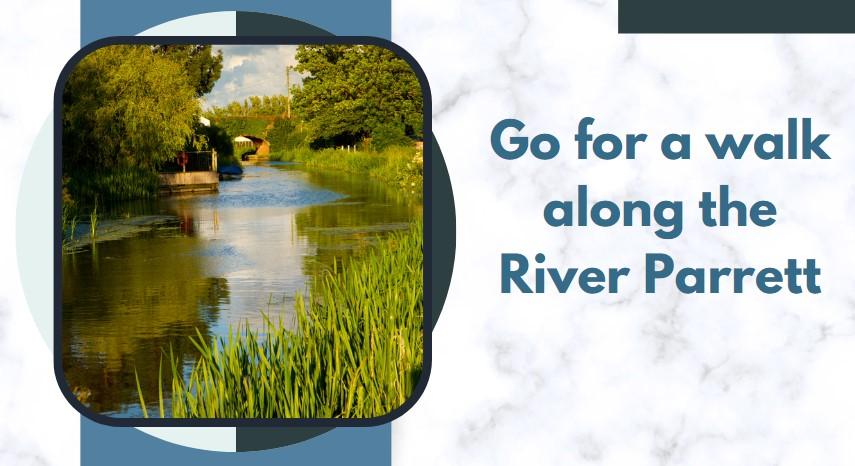 Best Things to Do in Bridgwater - Top 10– South West Mag