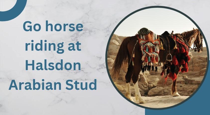 Best Things to do in Tiverton - Top 10– South West Mag