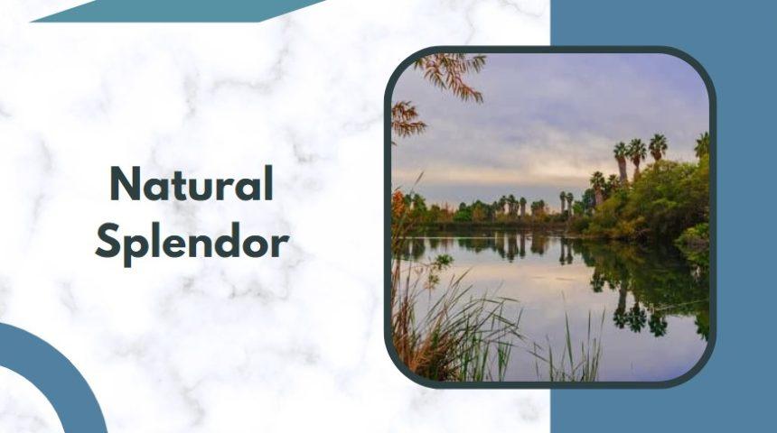 What County is Middlesbrough in? - A Closer Look– South West Mag