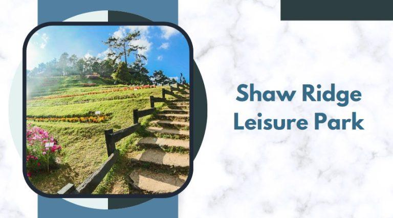 Top 10 Best Places to Visit in Swindon – South West Mag