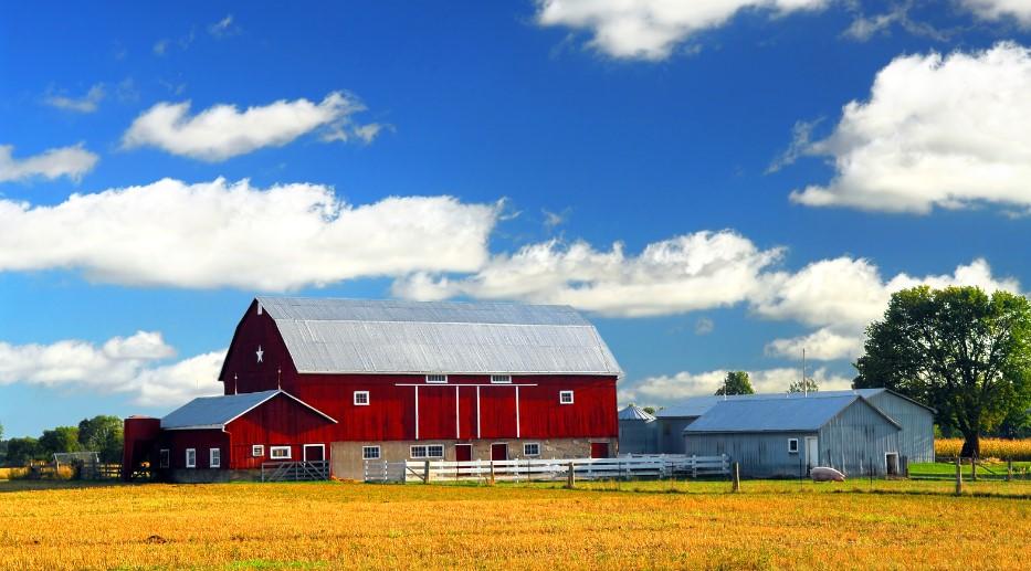 Best 10 Things to Do in Barnes - Charming Destination– South West Mag