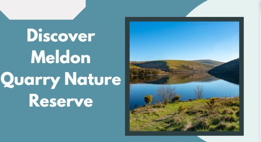 Top 10 Best Things to Do in Okehampton – South West Mag