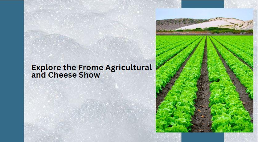 Top 10 Best Things to Do in Frome – South West Mag
