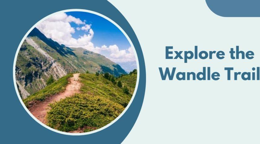 Things to Do in Mitcham - Top 10 Charming Destination– South West Mag