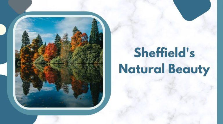 What County is Sheffield in? - A Closer Look – South West Mag