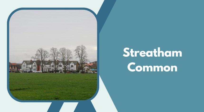 Top Best Things to Do in Streatham – South West Mag