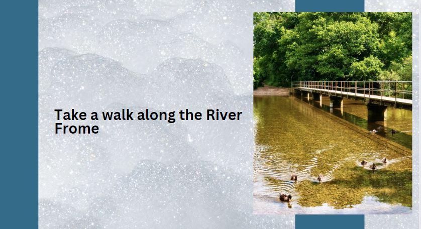 Top 10 Best Things to Do in Frome – South West Mag