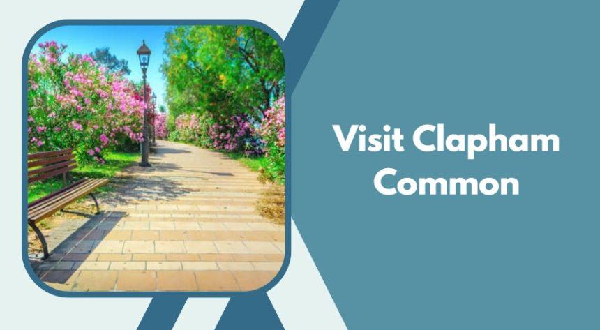 Top 10 Best Things to Do in Clapham - Exciting Visit – South West Mag