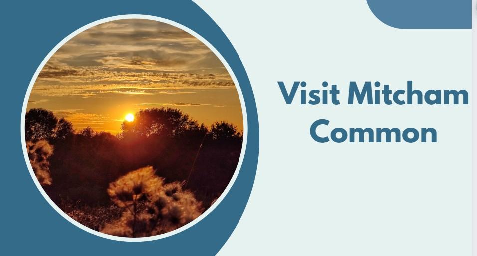 Things to Do in Mitcham - Top 10 Charming Destination– South West Mag