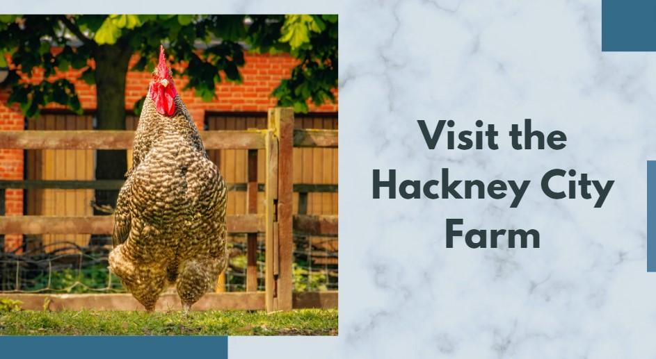 Top 10 Best Things to Do in Hackney – South West Mag