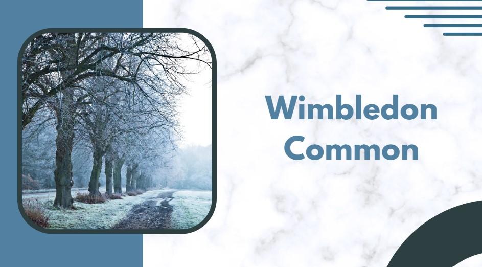 Top 10 Best Things to Do in Wimbledon - Fun Activities– South West Mag