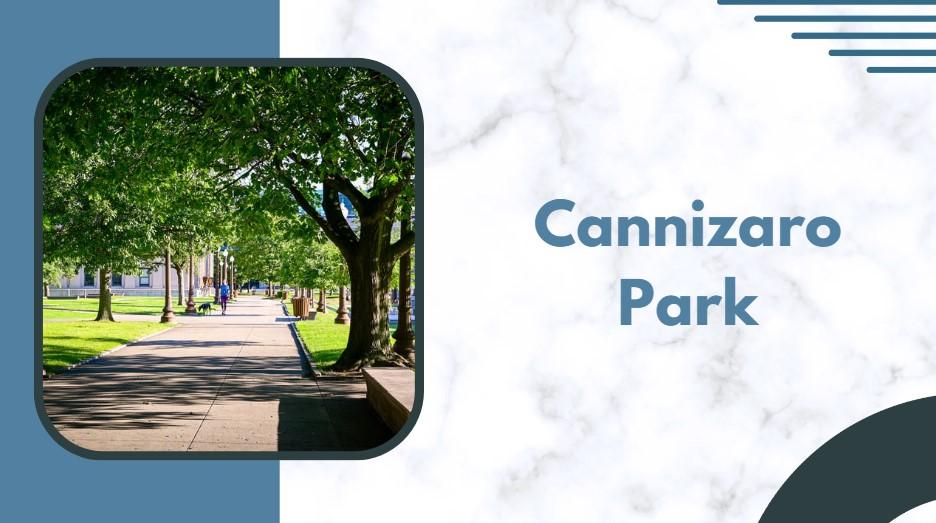 Top 10 Best Things to Do in Wimbledon - Fun Activities– South West Mag