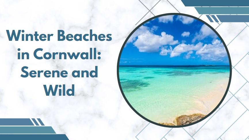 Cornwall in Winter - Things You Should Know About – South West Mag