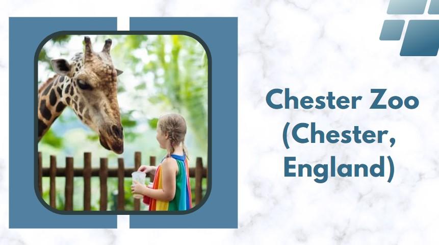Best Zoo in UK - Top 14 Exciting Visit – South West Mag