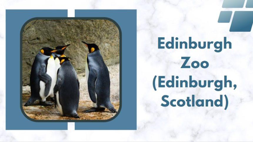 Best Zoo in UK - Top 14 Exciting Visit – South West Mag