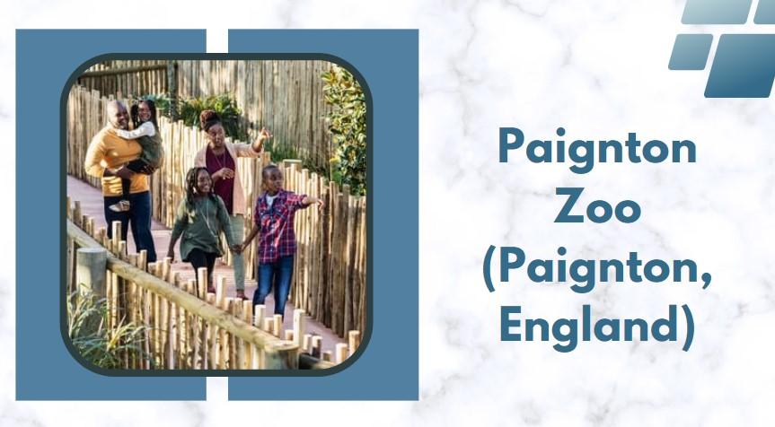Best Zoo in UK - Top 14 Exciting Visit – South West Mag