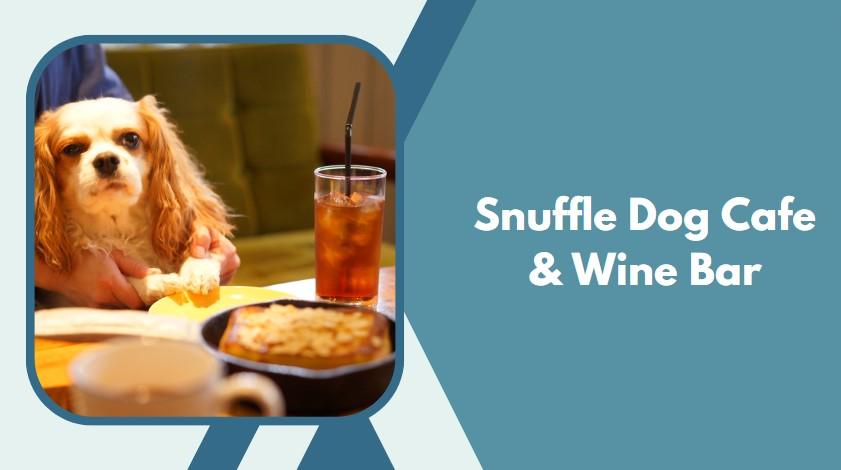 Best Dog Cafe in London - Top 10 Spots For Pet Lovers– South West Mag